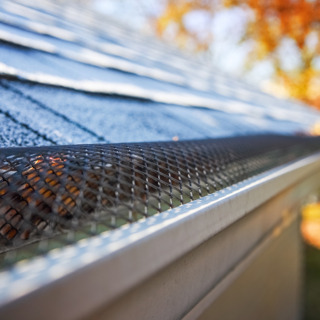 Why Choose Professional Gutter Maintenance Services - Iron Horse ...